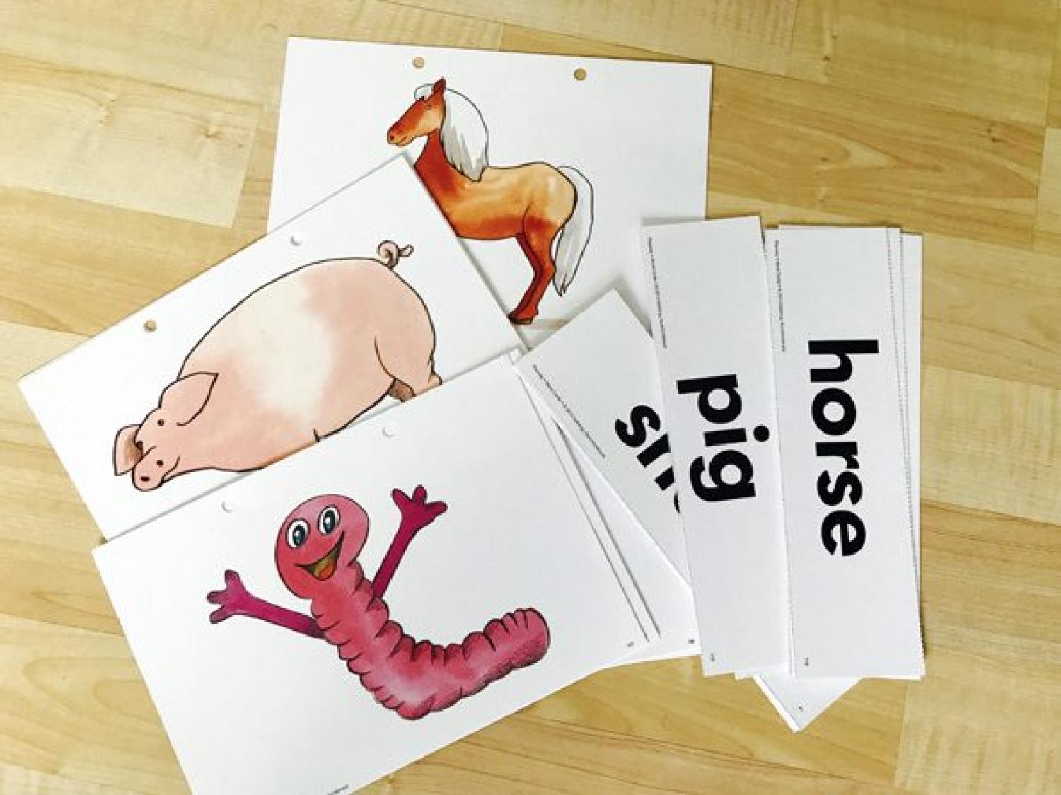 Einfache Spiele für den Englisch-Unterricht (4): Flashcard-Spiele ...